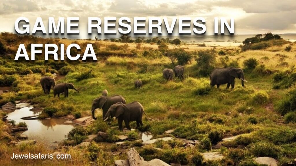 Best Game Reserves in Africa - Jewel Safaris