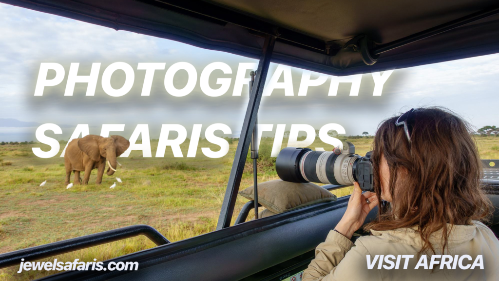 Photography Safari Guide: Camera Settings & Tips - Jewel Safaris
